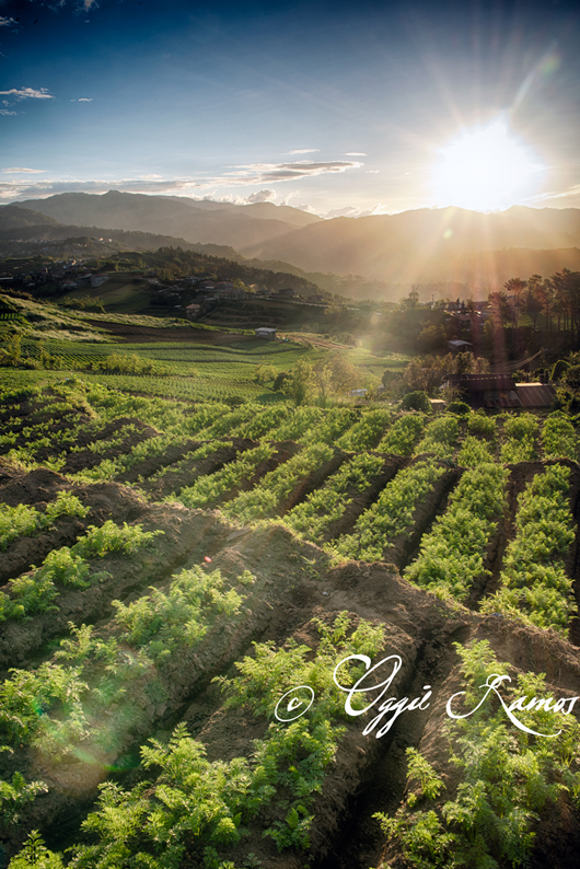 Lagalog Philippines Travel Photography Blog: Buguias the Beautiful ...