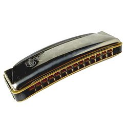 Munster Fleadh News: Learn to Play the Mouth Organ – Free Class and ...