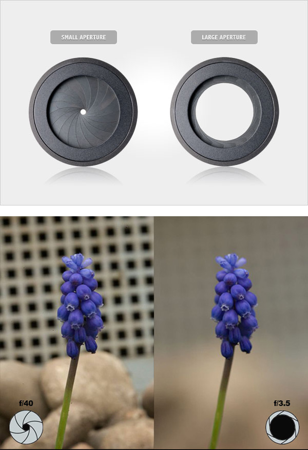 Aperture Lesson - CVHS Photography