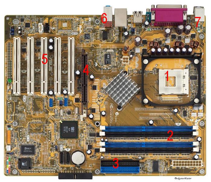 El blog de Laura : PLACA BASE,