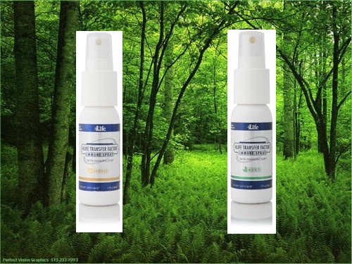 4Life Santa Cruz - La Compañía del Factor de Transferencia: 4LIFE ...