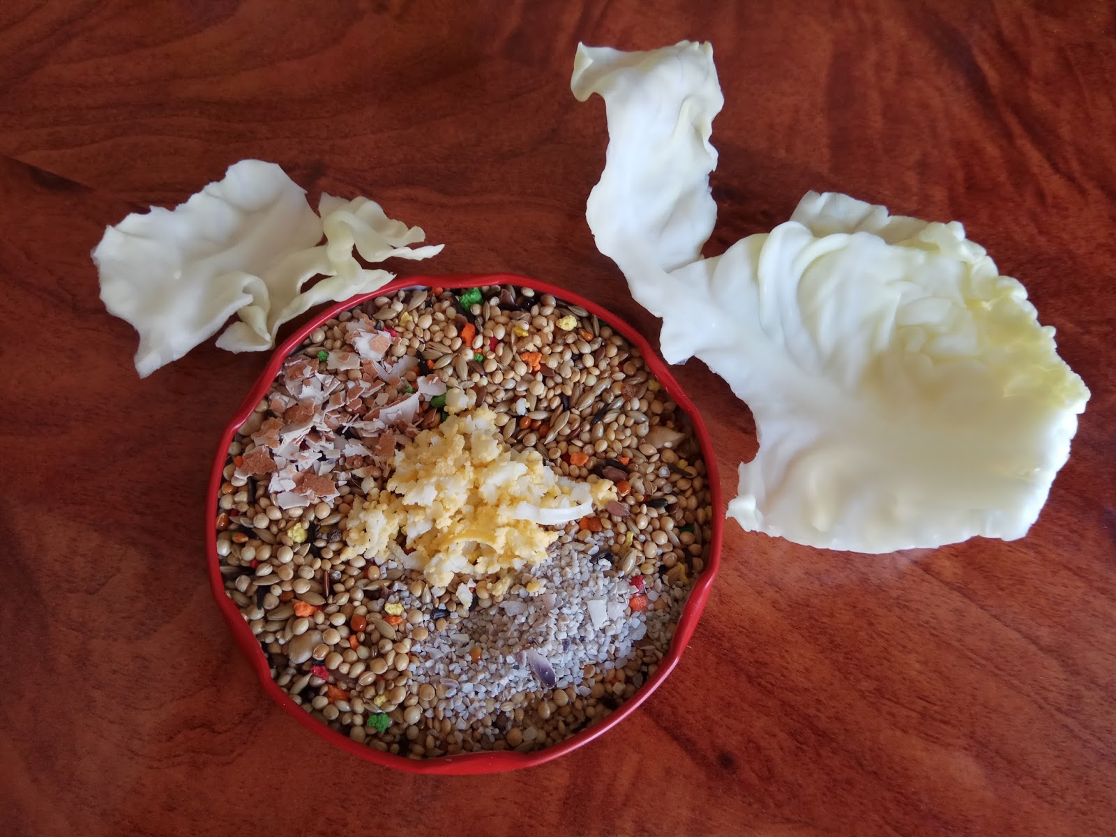 Zebre Australiene: Cu ce se hranesc zebrele australiene?