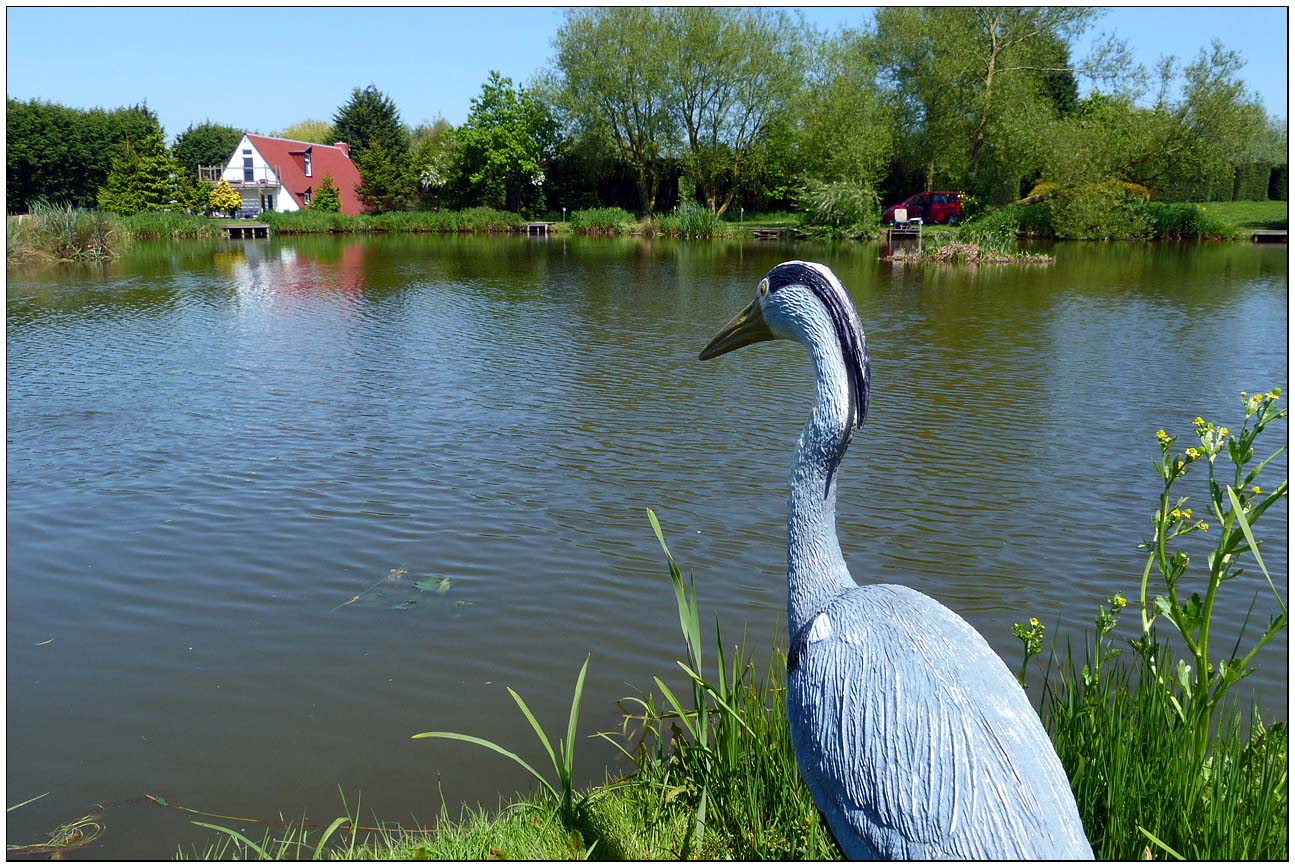 Lincolnshire Cam: Alvingham Lakes.