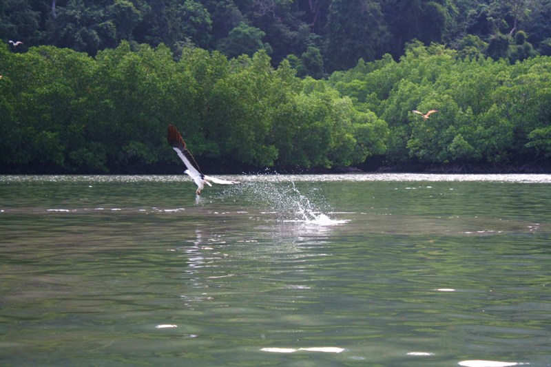 看人生 . 看世界: Fun At Langkawi - Landcons-Orkid Ria-Eagle Feeding-Dayang ...