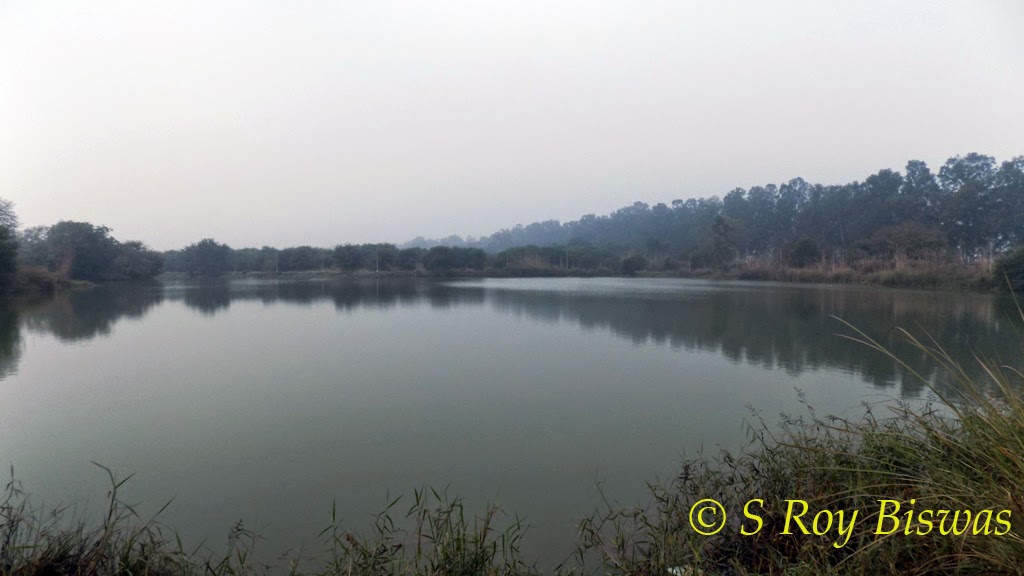 S Roy Biswas: Visiting –Tilyar Lake in Rohtak