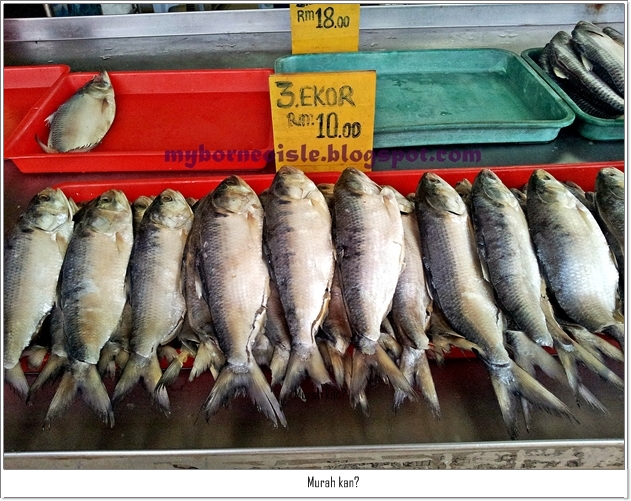 MY BORNEO ISLE: IKAN TERUBOK MASIN KUCHING