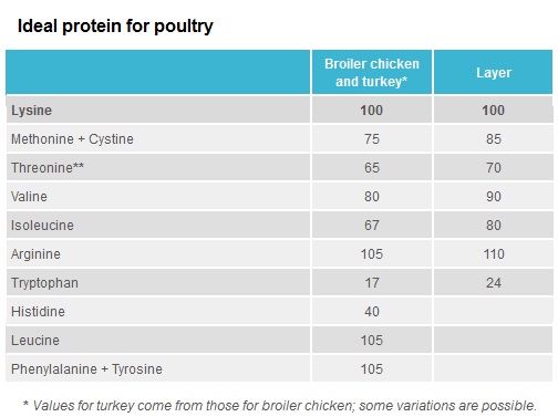 Animal science: Poultry nutrition and feeds