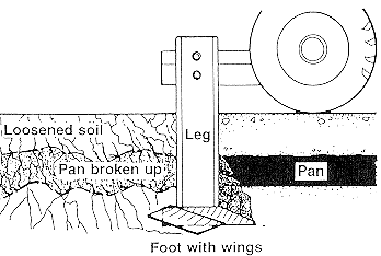 grounded design by Thomas Rainer: To Dig or Not to Dig: Are 'No-Dig ...