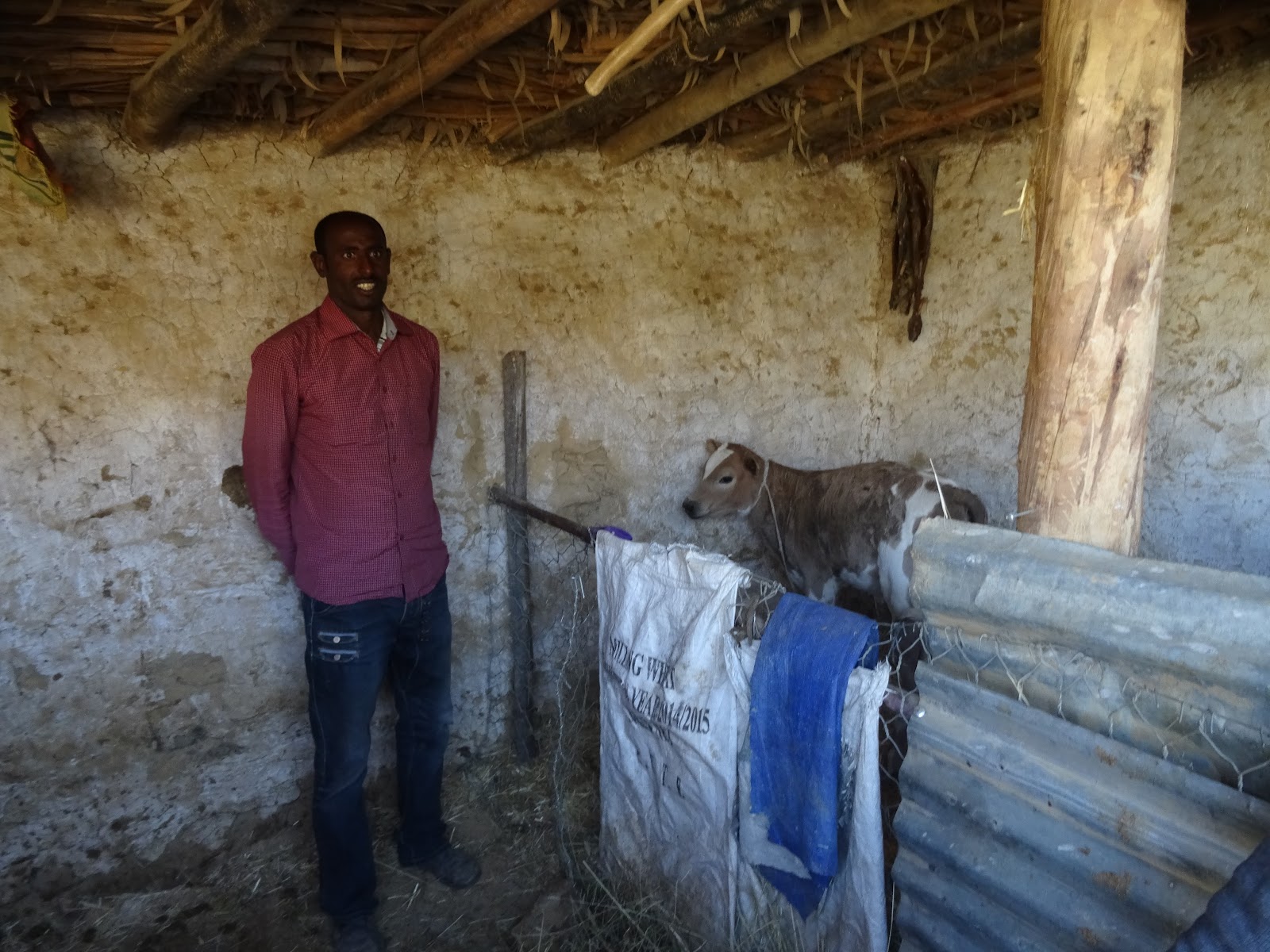 Developments in rural areas across the world: whose animal? whose work ...