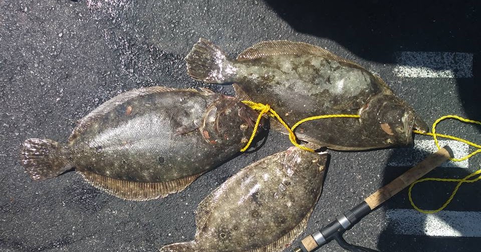 Florida Fishing For Beginners: Flounder