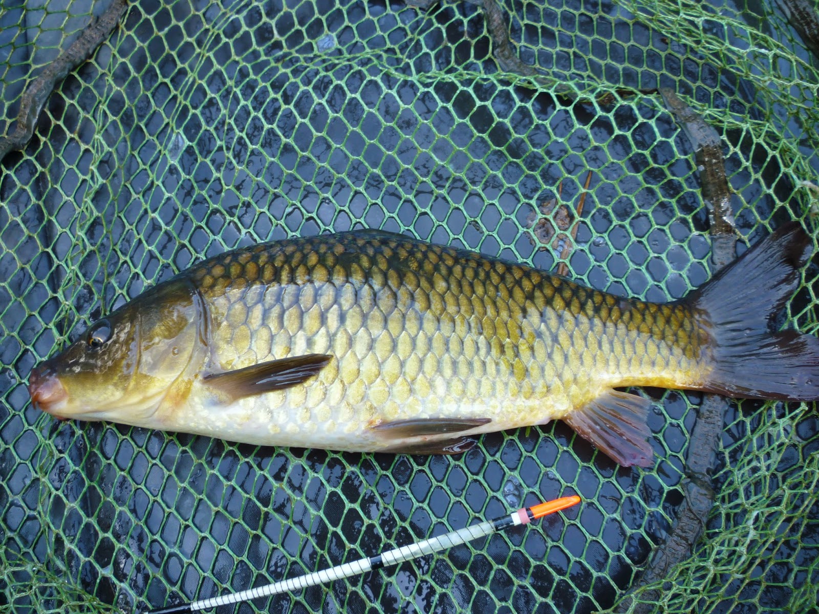 Between Two Rivers: Handmade Fishing Floats