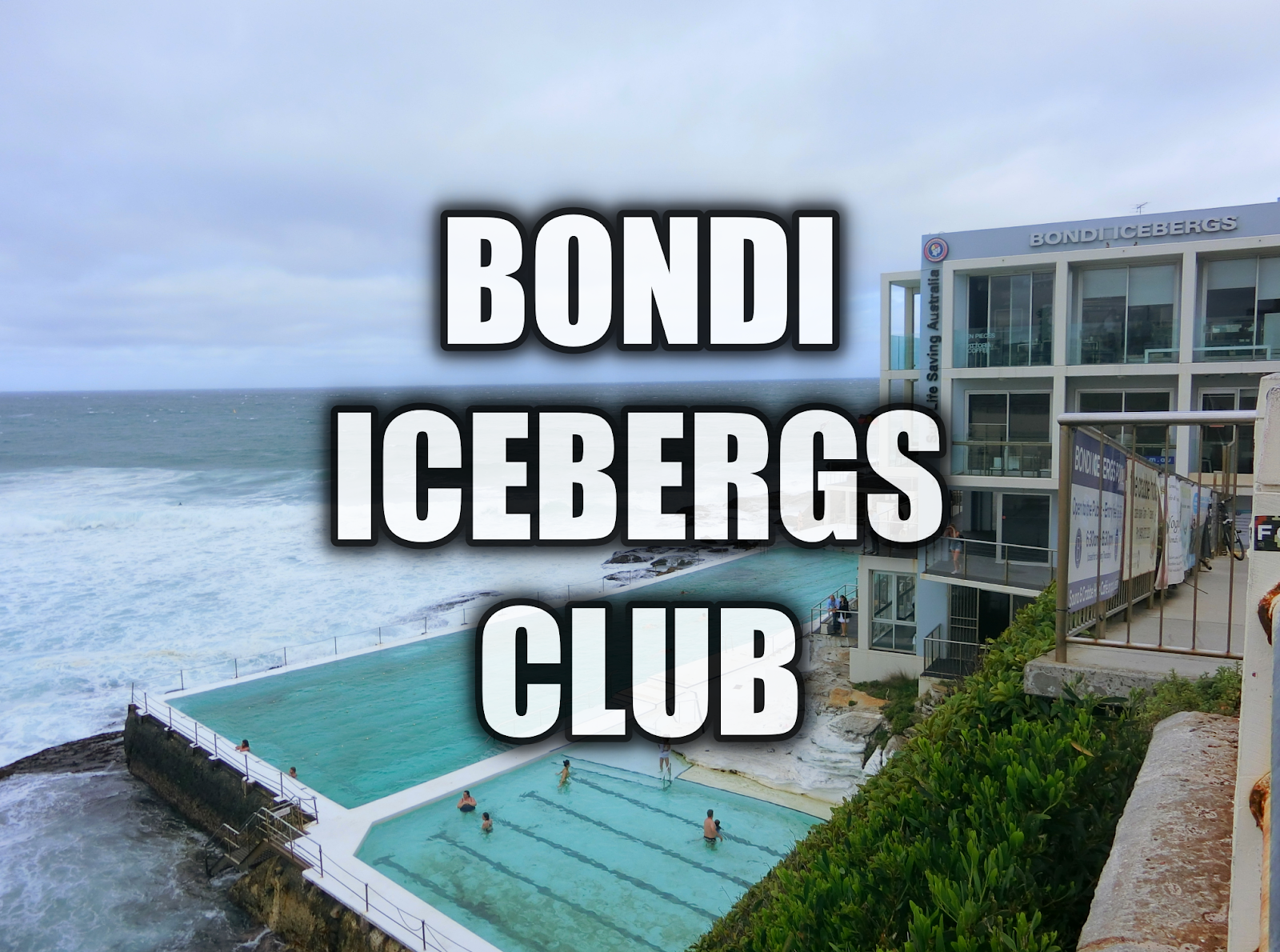 BONDI ICEBERGS CLUB - Hi5 the world