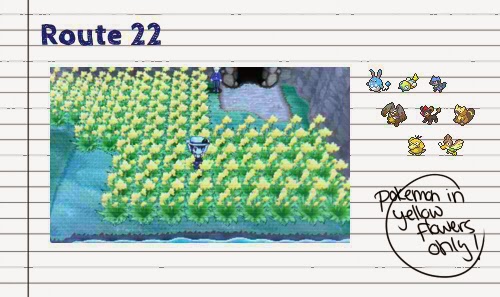 Shiny Routes! ~ XY Frontier