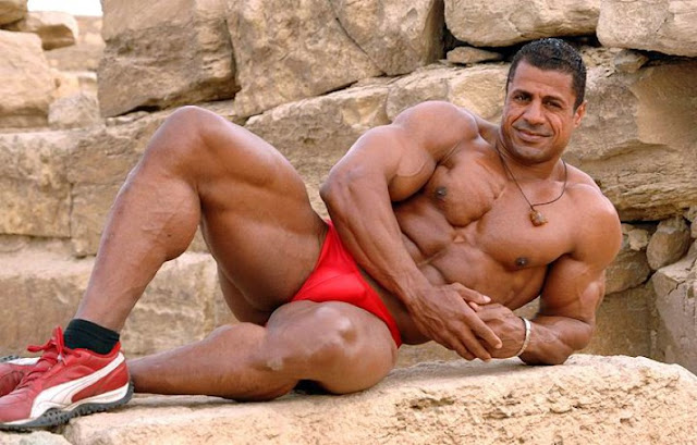 Knights of Bodybuilding: AHMED HAMOUDA