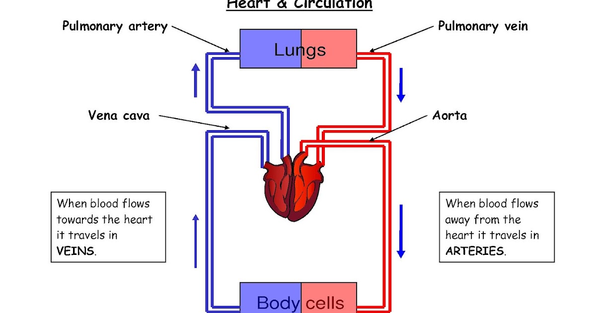 Evidenced Teaching: Learning Theory Pt 3: The cognitive science basis ...