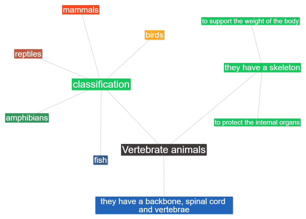 science3ceipvillalpando: Vertebrates