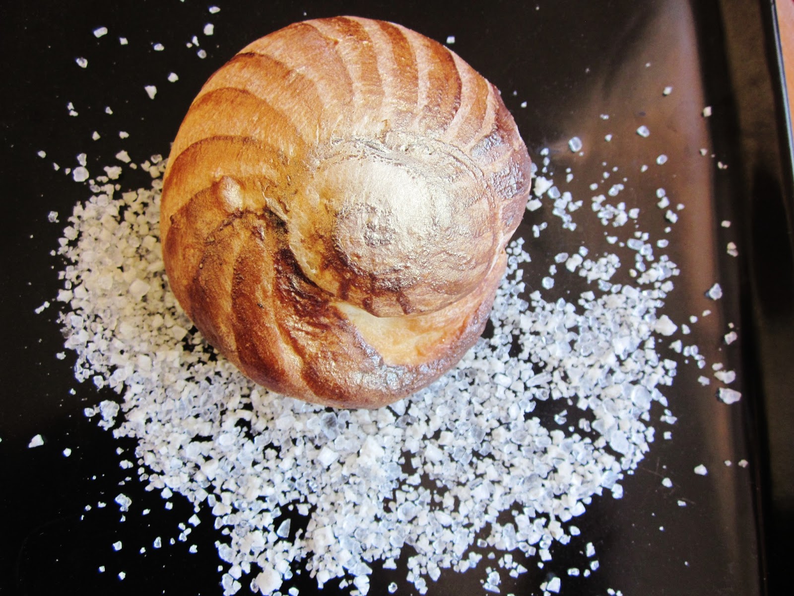 Chef Tess Bakeresse: Today's Bread-Art Photo Shoot...and a NEW Book!!