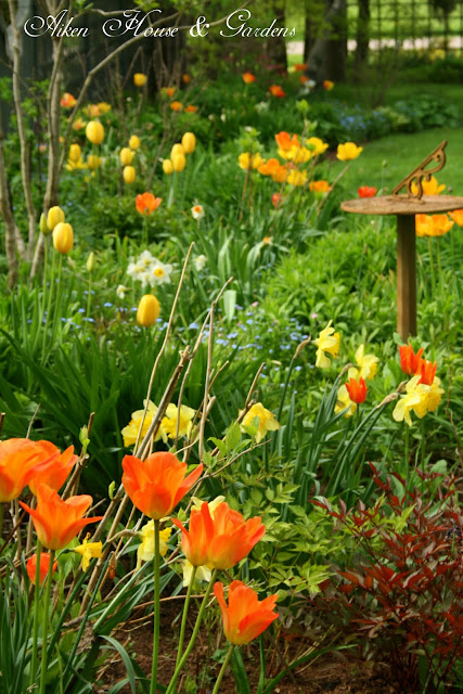 Aiken House & Gardens: Happy First Day of ....Spring?