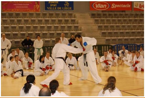 OLYMPIC KARATE SPORT CLUB - Sport Karate, Tang Soo Do : LES STARS DU ...