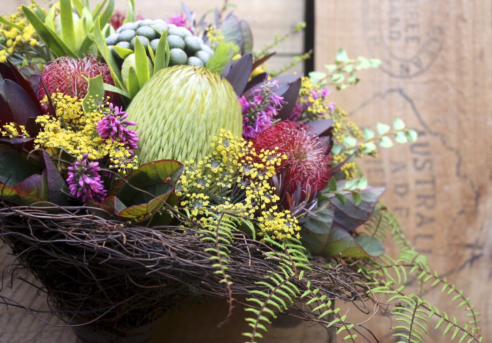 Swallows Nest Farm: February Flowers