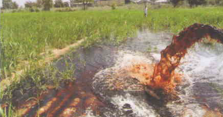 Polluted villages around Gujarat's cultural capital have brownish red ...