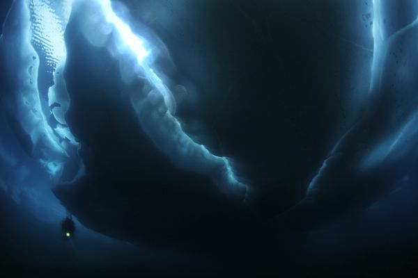 Ice World | New Stylish Wallpaper