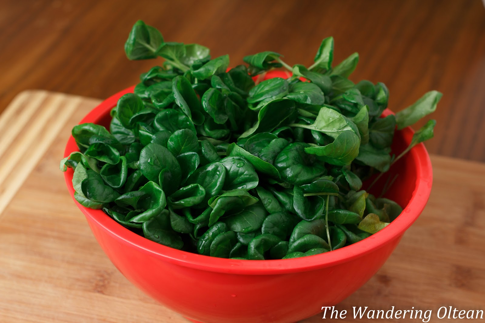 Citrus-Marinated Salmon with a Confit of Navel Oranges, Beluga Caviar ...