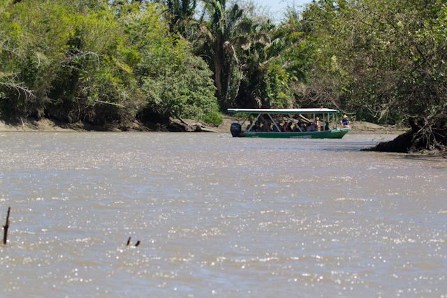 Costa Rica Day 18: Palo Verde | The Perfect Day Factory