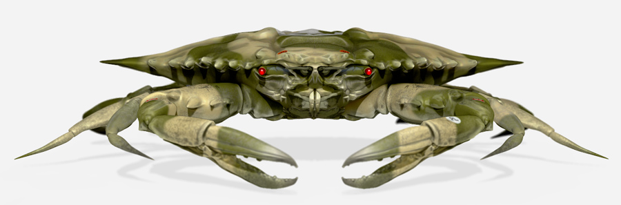 Eric Keller's Portfolio: Crab army