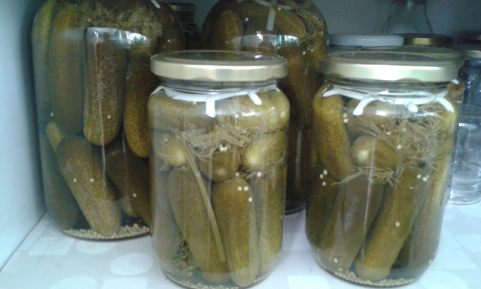 Ringlica recepti: Kiseli krastavci