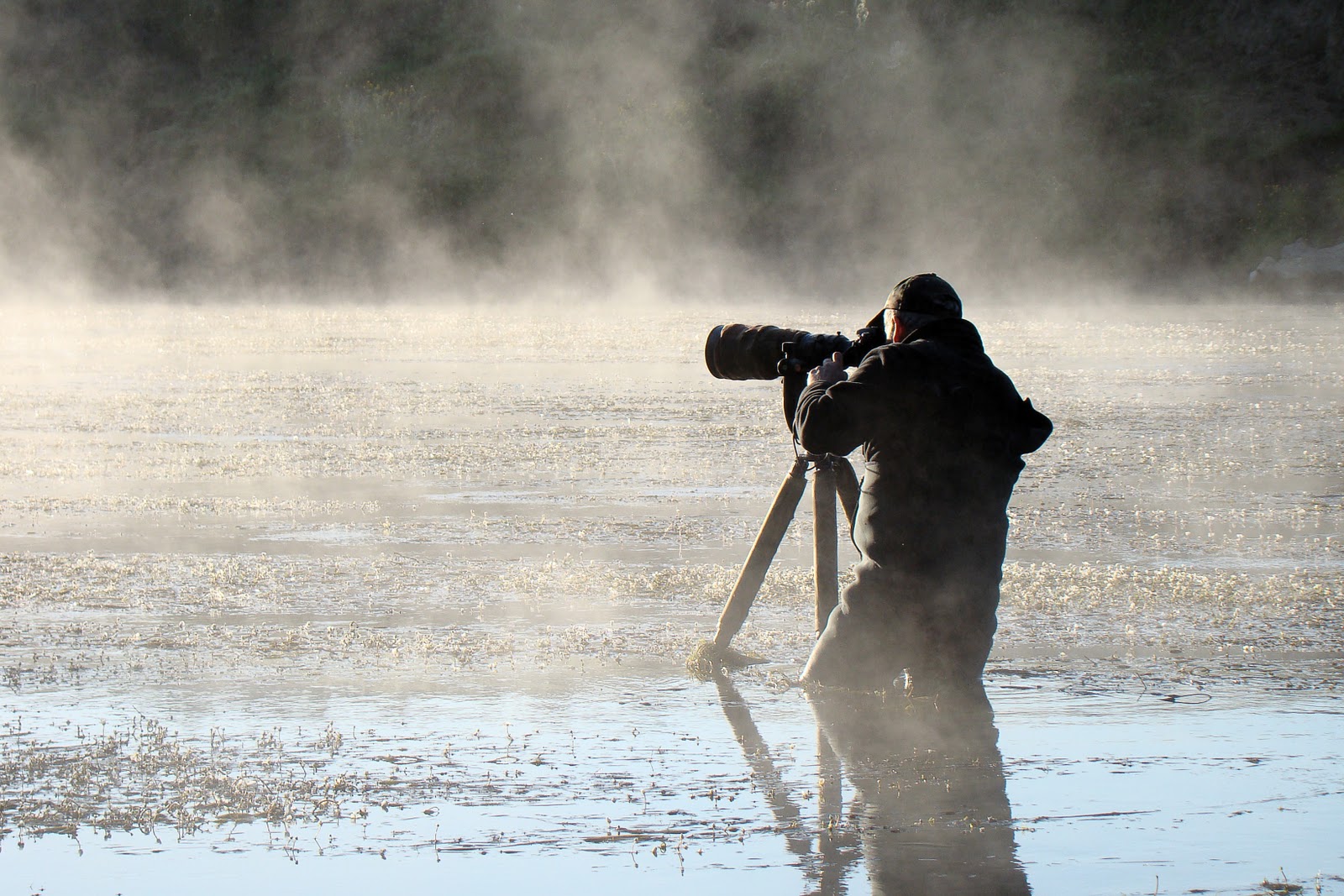 Natuurfotograaf-MarcelvdKerkhof: Frankrijk