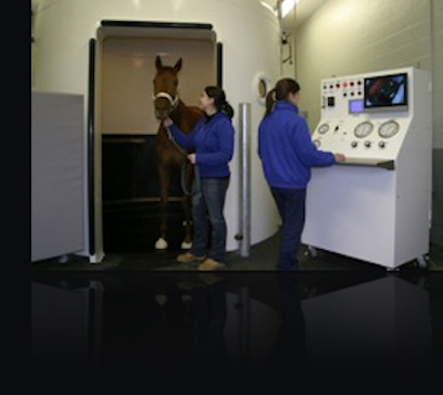 India. Equine hyperbaric oxygen therapy (HBOT) chamber for equine ...