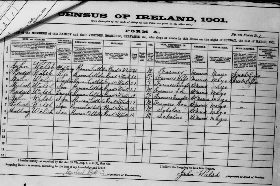 Our Mayo Families : 1901 Walsh Family ...