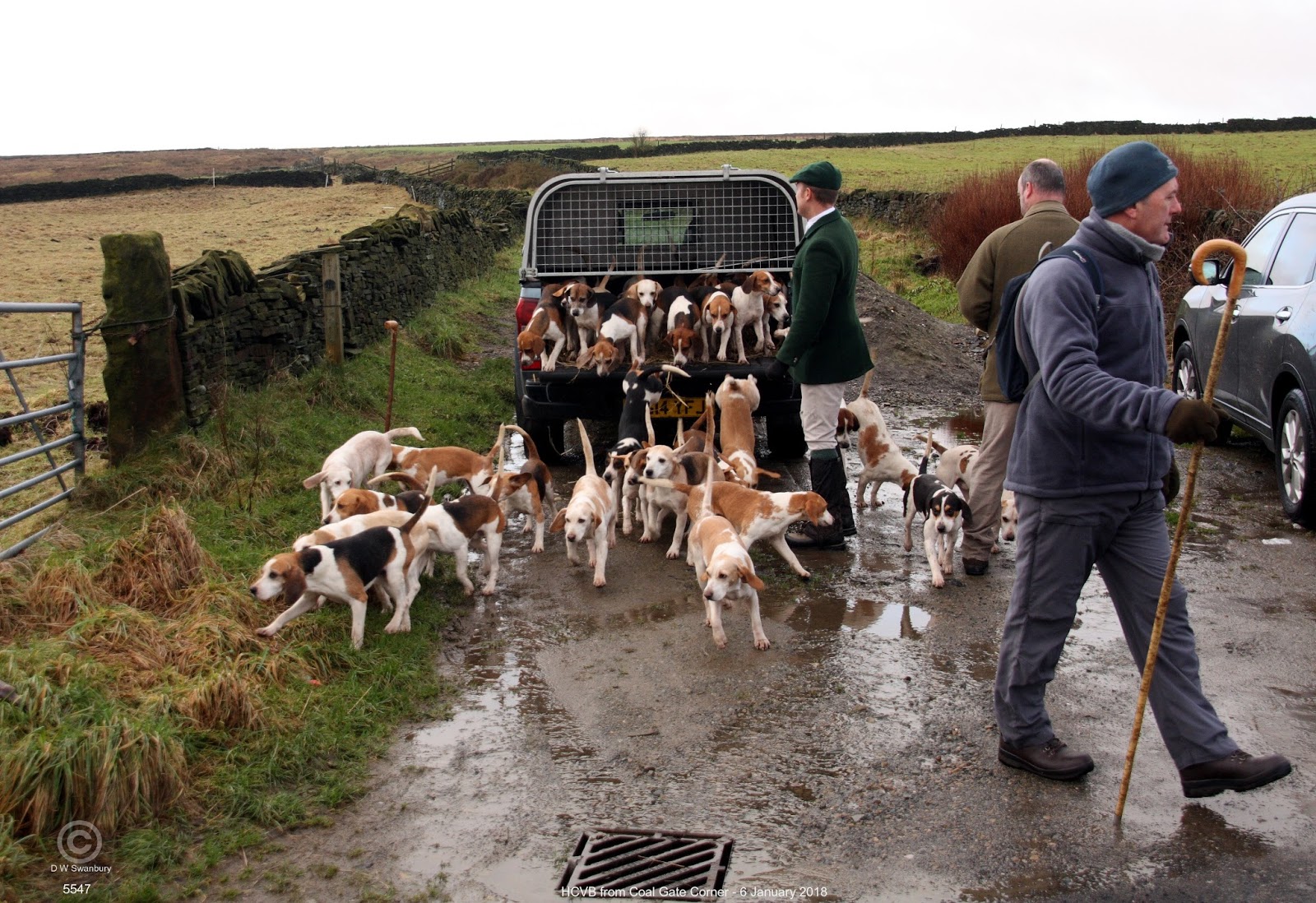Colne Valley Beagles and other things of interest.: CURRENT BEAGLING ...
