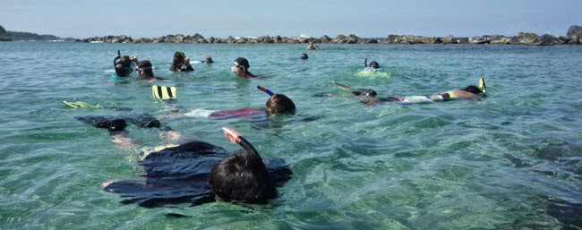 TASIS Spanish Summer Program Dorado, Puerto Rico: Unos platos típicos