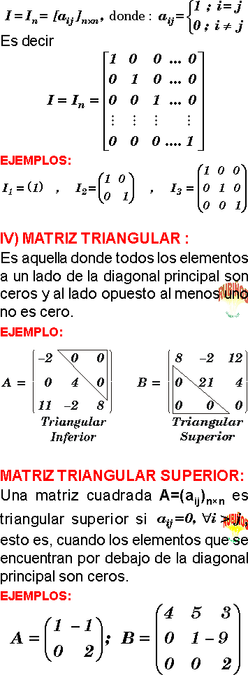 MATRICES EJEMPLOS Y EJERCICIOS RESUELTOS