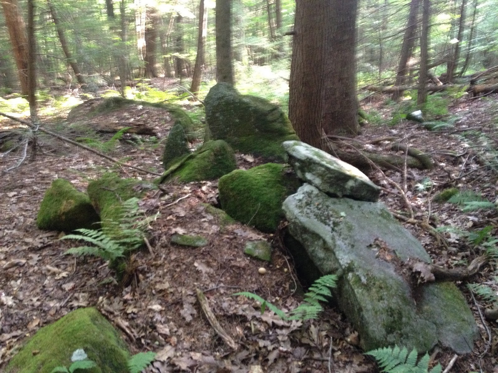 A New England Woodland: Not Your Ordinary Rock Pile