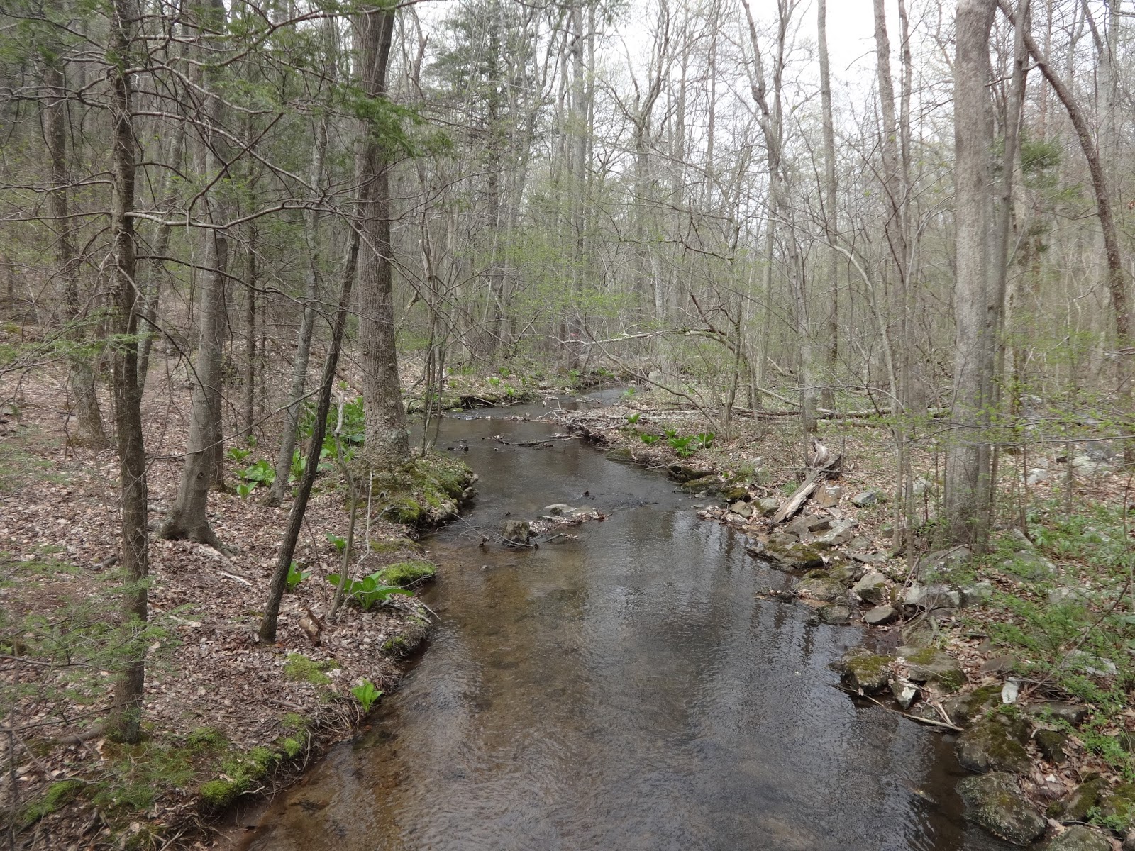 Appalachian Trail Section hiking: Ashby Gap to Snickers Gap