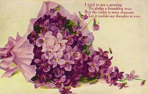 Antiques And Teacups: Tuesday Cuppa Tea, Violets Tea, Anniversary ...