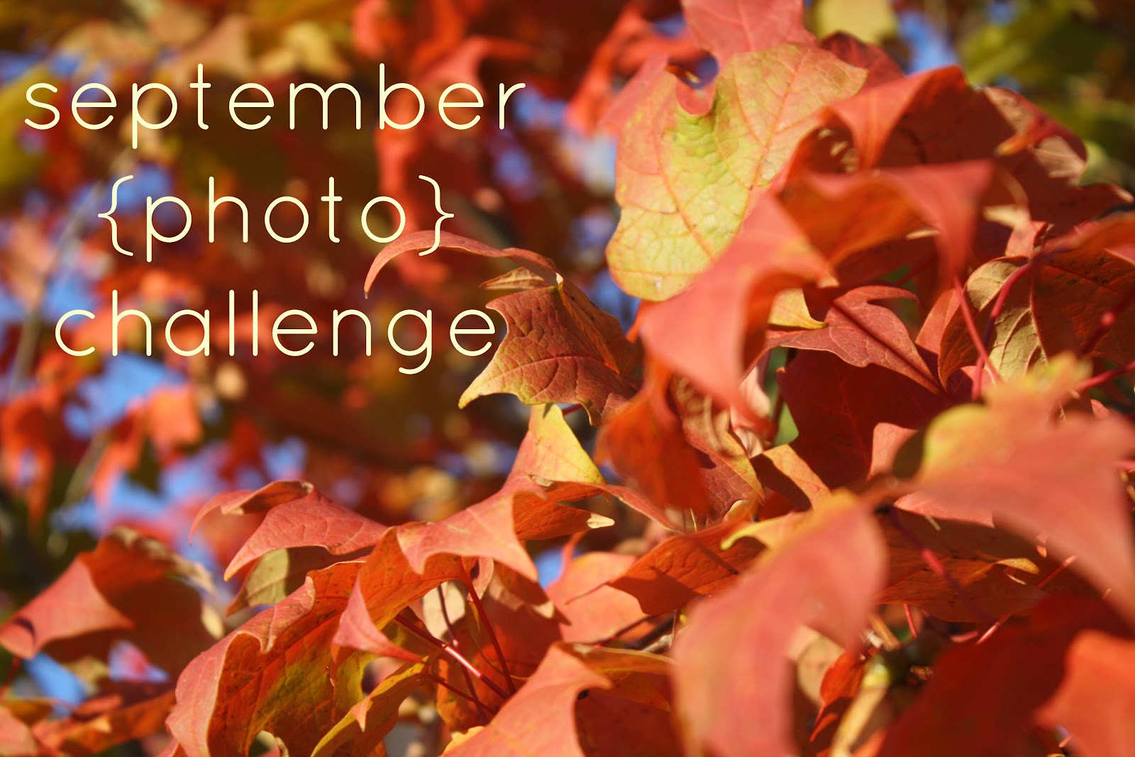 Tomorrow, with a smile.: September {photo} challenge.