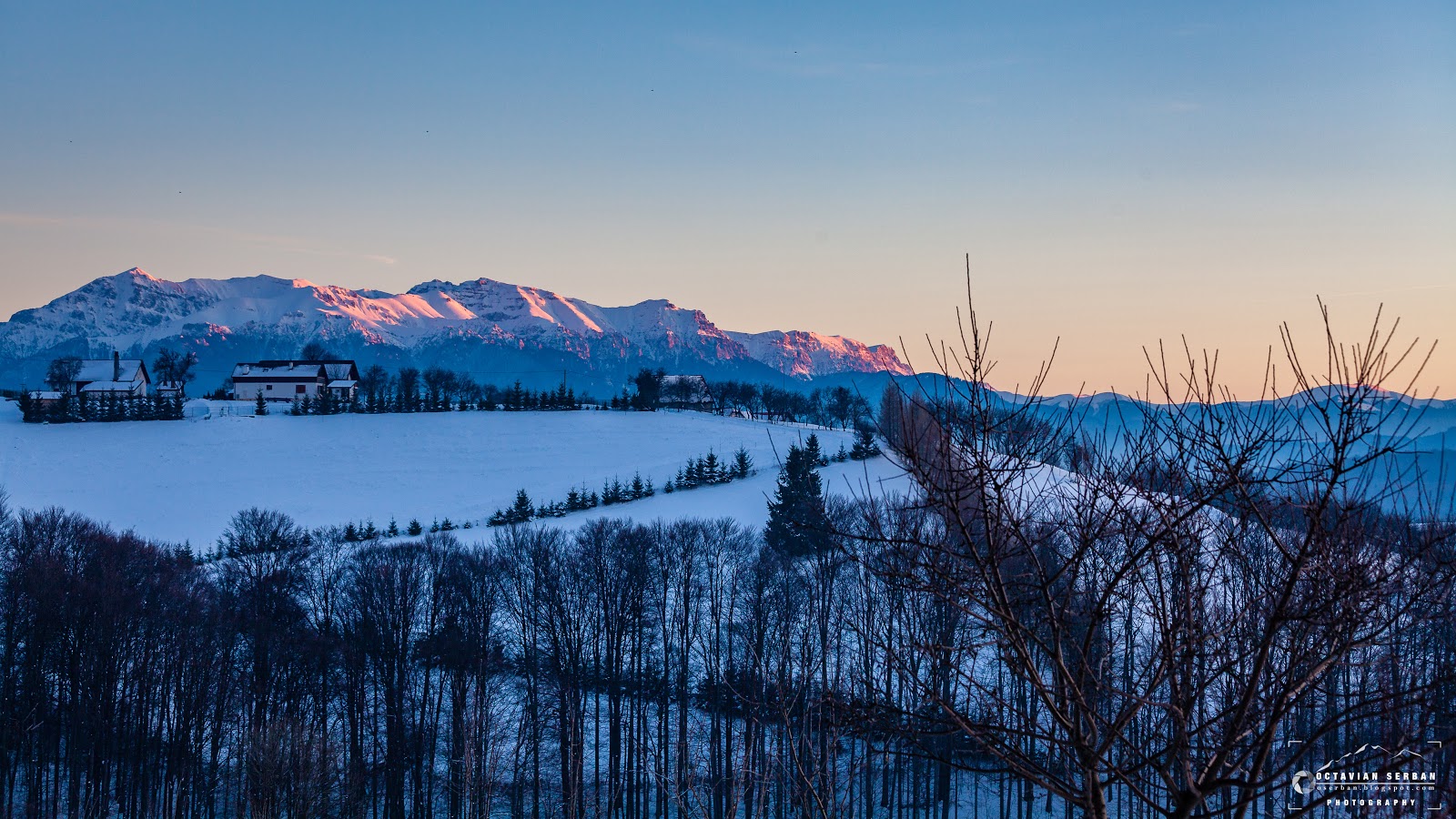 Octavian Serban: Poiana Marului Village...