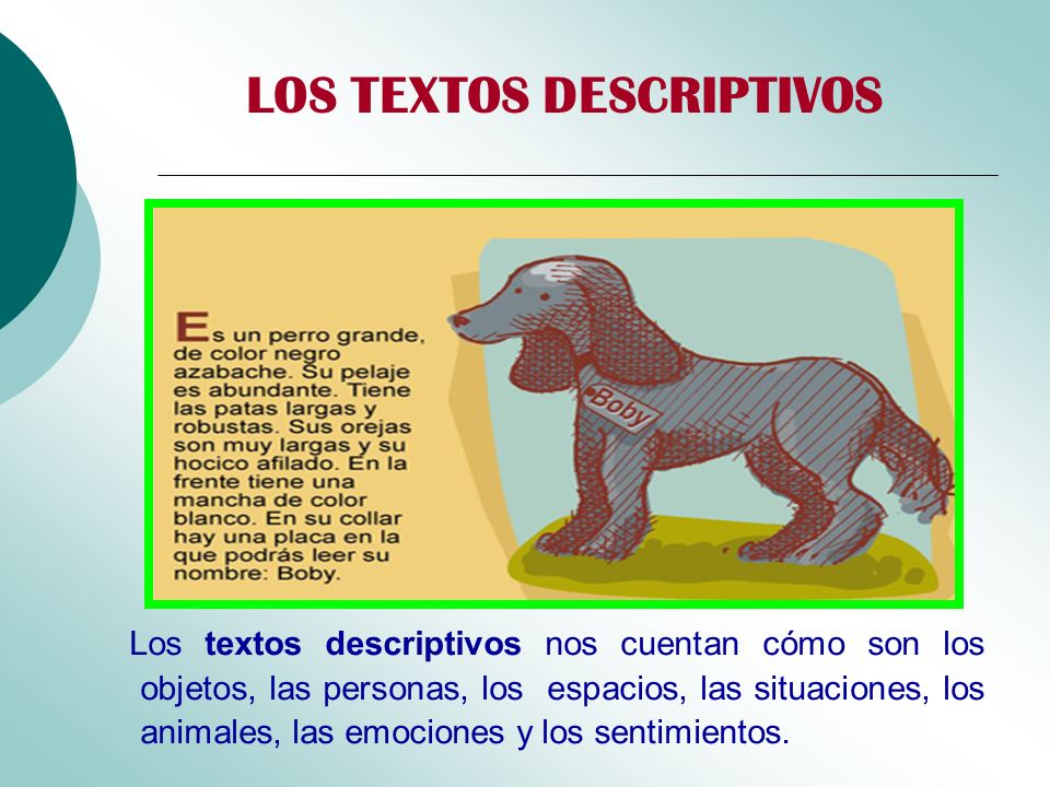 Unidad 4 El Texto Narrativo Y El Texto Descriptivo Images Unidad 4 El Texto Narrativo Y El Texto Descriptivo Images