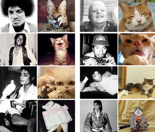 Michael Jackson My Obsession: Jackson cats