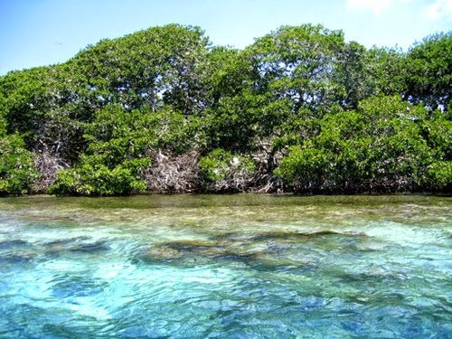 Características de Venezuela: Región Insular
