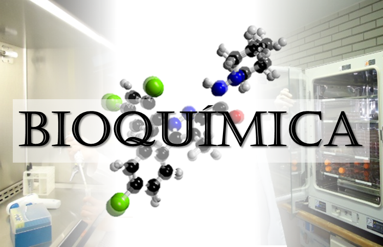 La Bioquimica: LA BIOQUIMICA