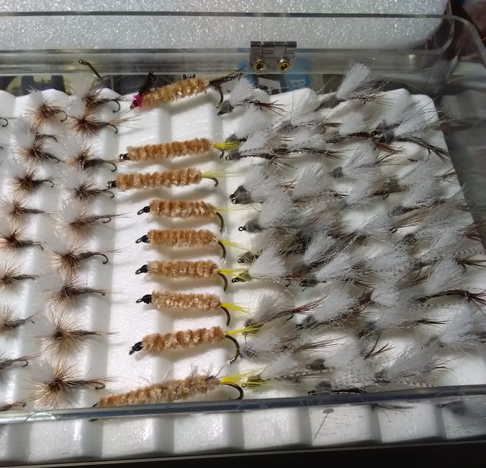 Magalloway Guide Services