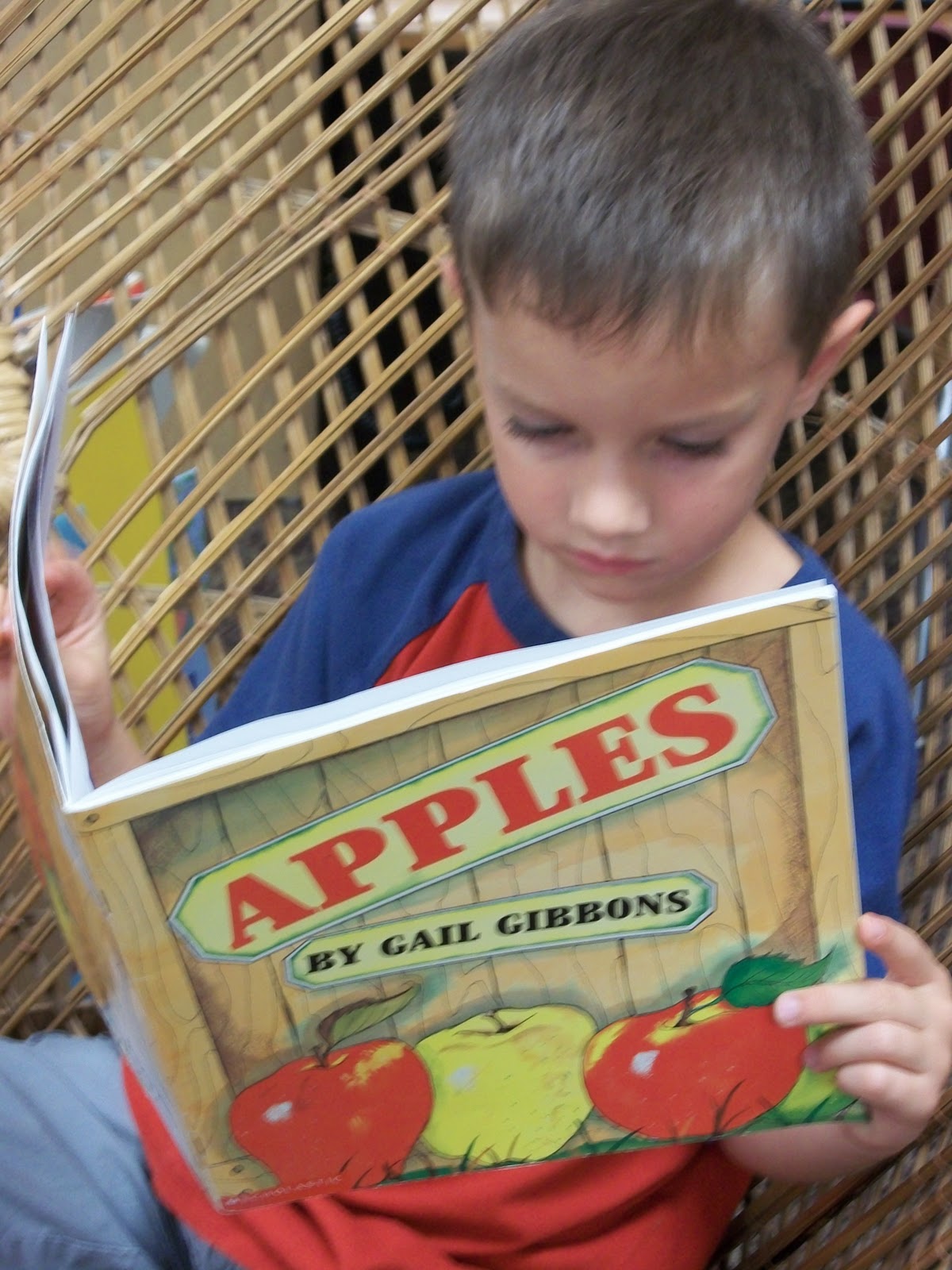 Keeping Up with the Kindergartners: Apples Apples Everywhere!
