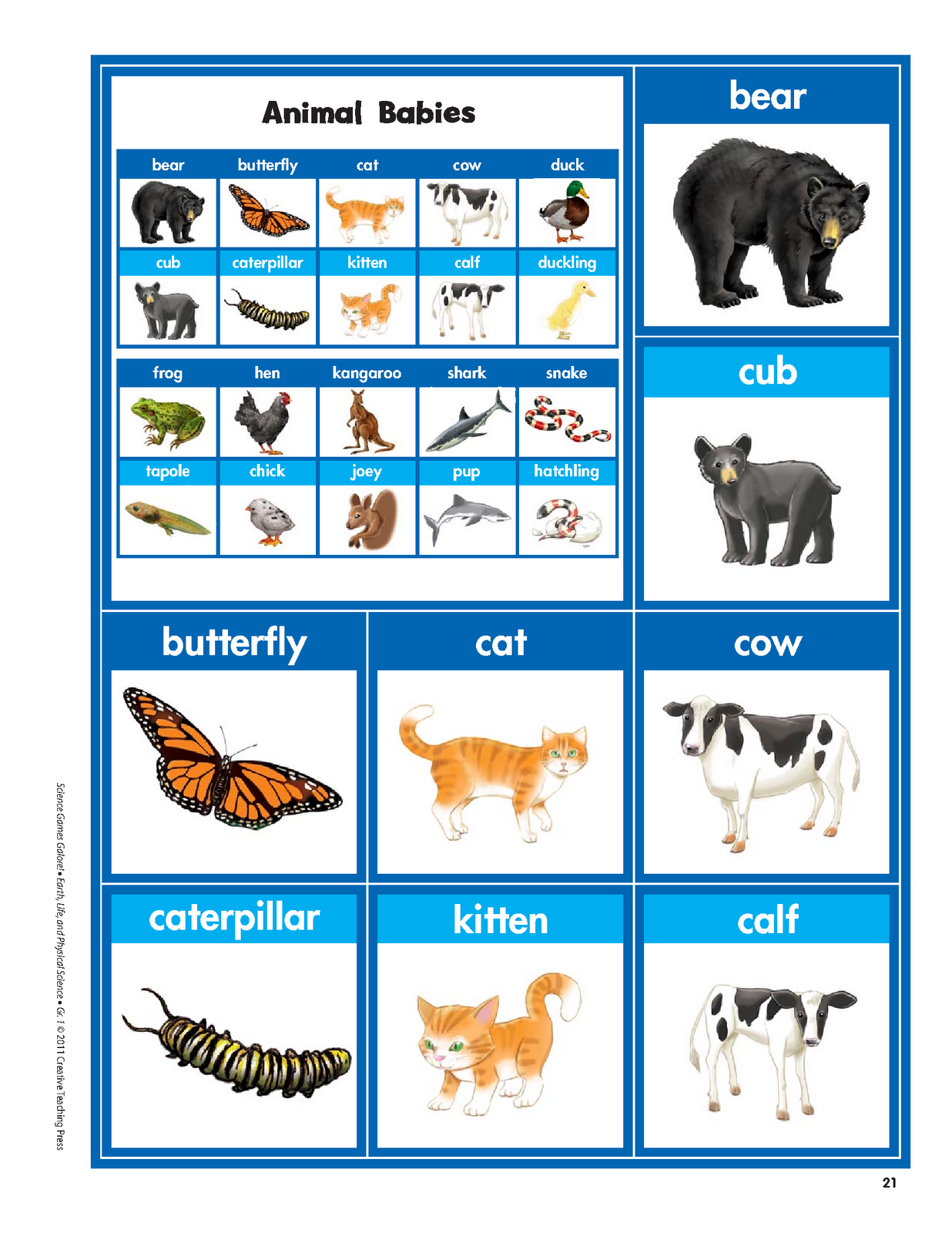 Preschool animal babies matching chart - dolfgadget