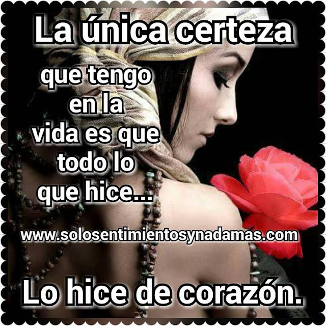 La única Certeza Que Tengo Solo Sentimientos Y Nada Mas