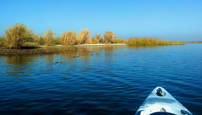 Kayaking the California Delta: Franks Tract